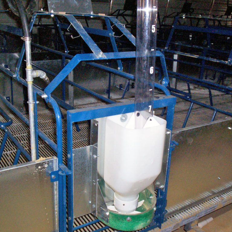 Single Space Sow Feeder, S130 | Osborne Livestock Equipment