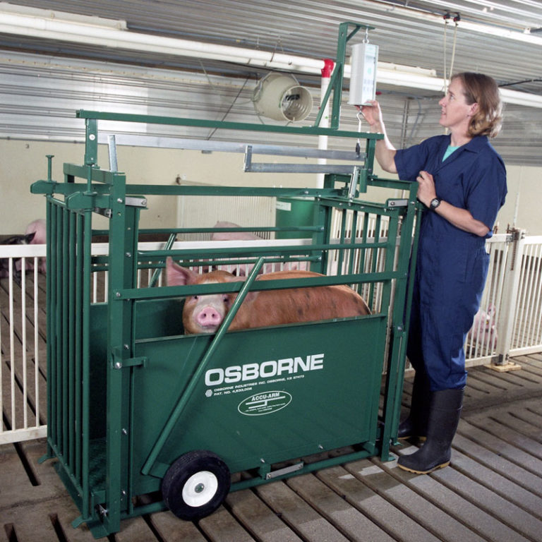 Portable Scale, Wide, Digital Display | Osborne Livestock Equipment