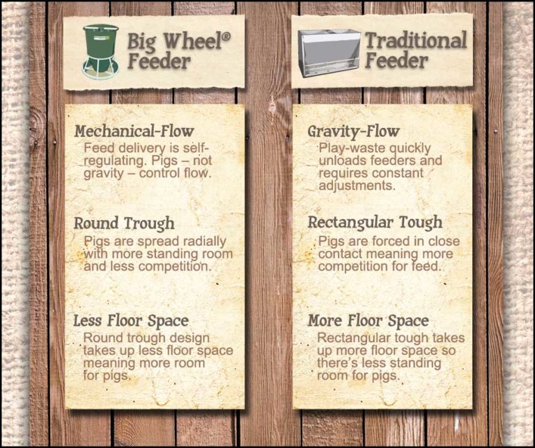 Feeders for Pigs: Choosing the Right Finisher for Small Groups | OLE