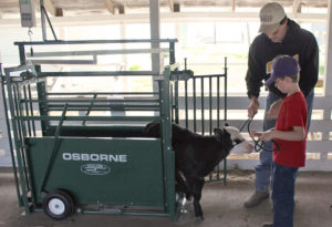 Portable Livestock Scales | Osborne Livestock Equipment