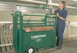 Portable Livestock Scales | Osborne Livestock Equipment