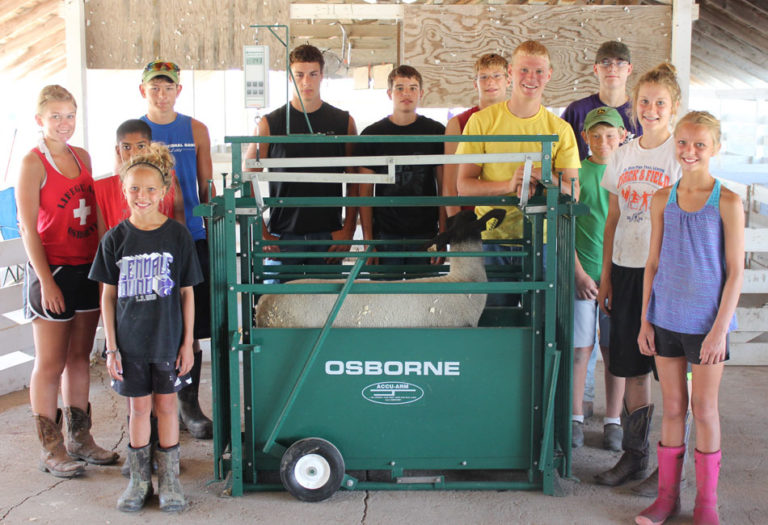 Portable Livestock Scales | Osborne Livestock Equipment